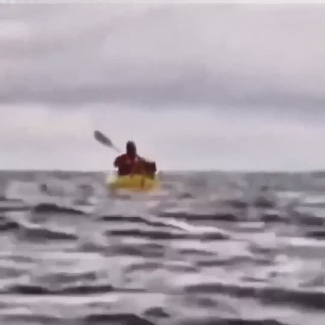 В феврале 2025 года у берегов чилийской Патагонии горбатый кит на короткое время проглотил каякера