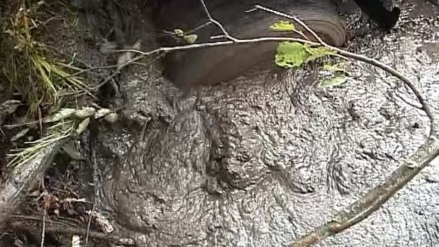 Ралли-трофи. Программа "Мотор-шоу"  Пермь. 2009 г. KAMA ZONE 2009