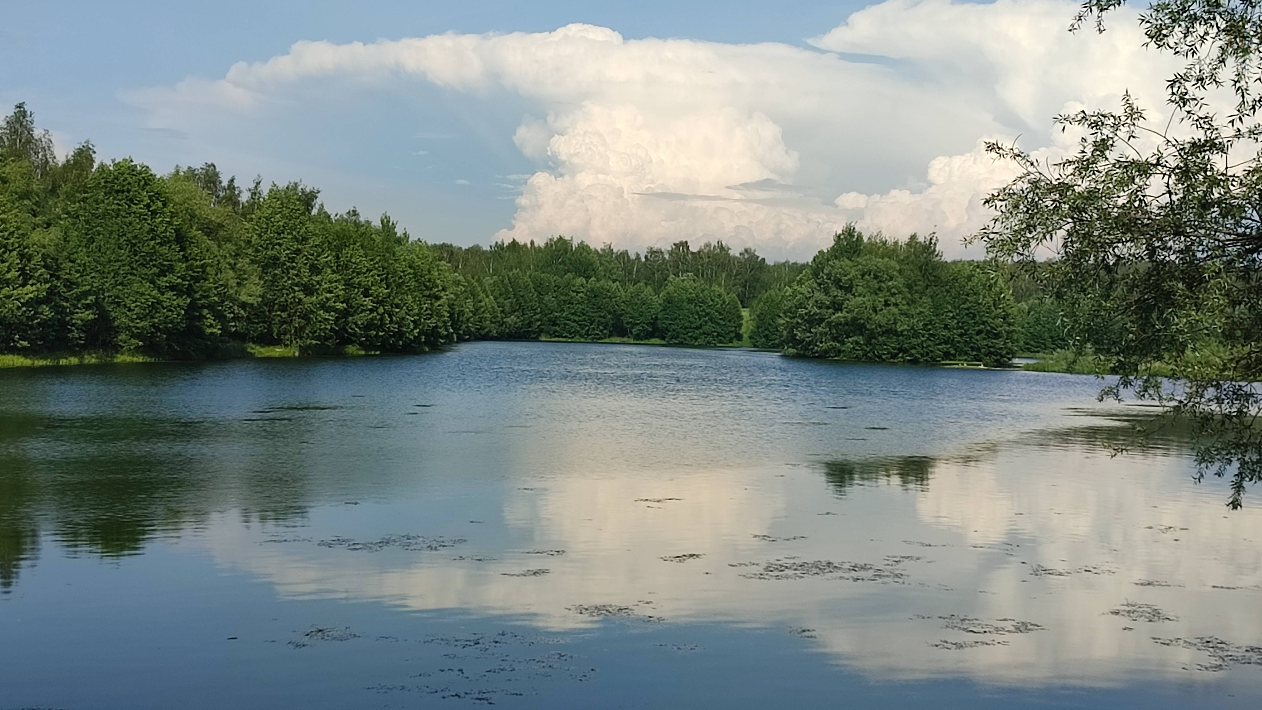 Лето Июнь 2025 парк Юбилейный. Лето машет листиком клена.