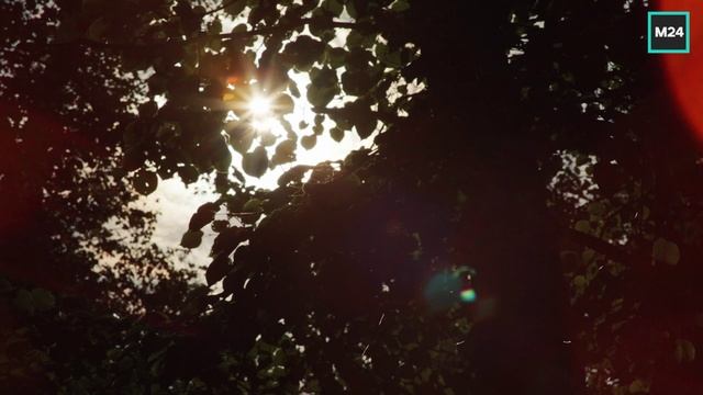 Московские зарисовки осенью | О Москве с любовью