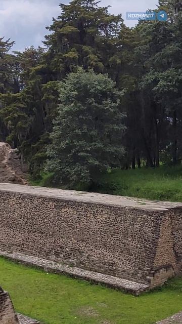 Заросшие города цивилизации майя