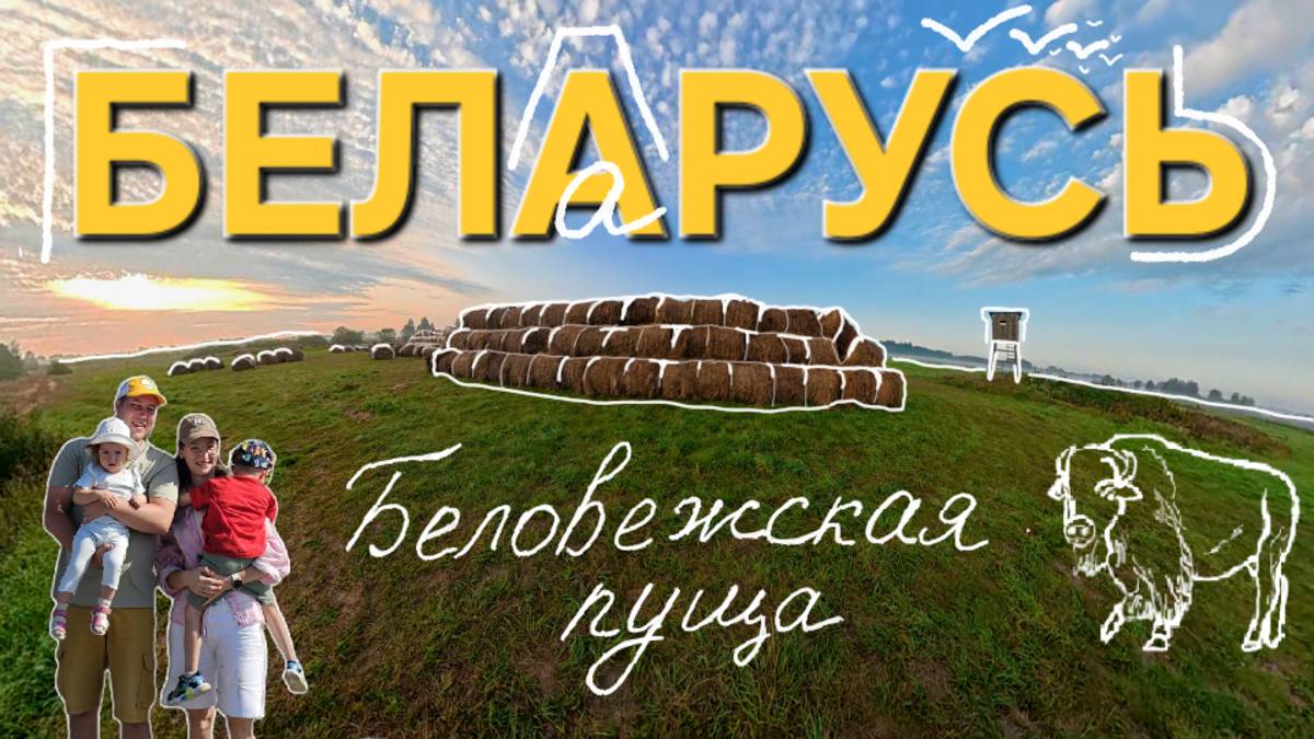 Утро с зубрами и царские мосты: невероятная Беловежская пуща