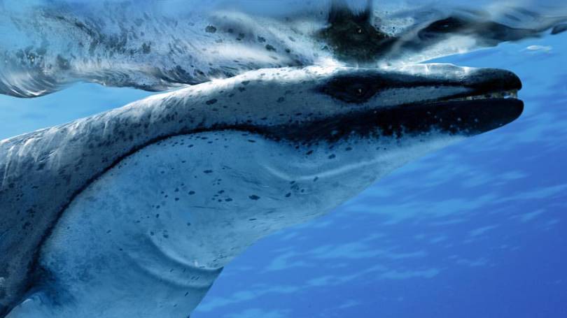 Сериал BBC: Прогулки с чудовищами — 3 серия / Walking with Beasts