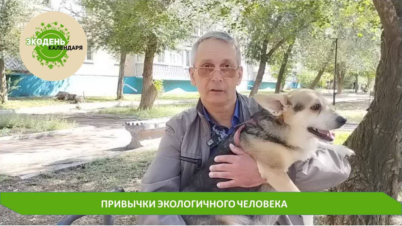 ЭКОДЕНЬ КАЛЕНДАРЯ. ВЫПУСК 8. ДЕНЬ БЕЗДОМНЫХ ЖИВОТНЫХ