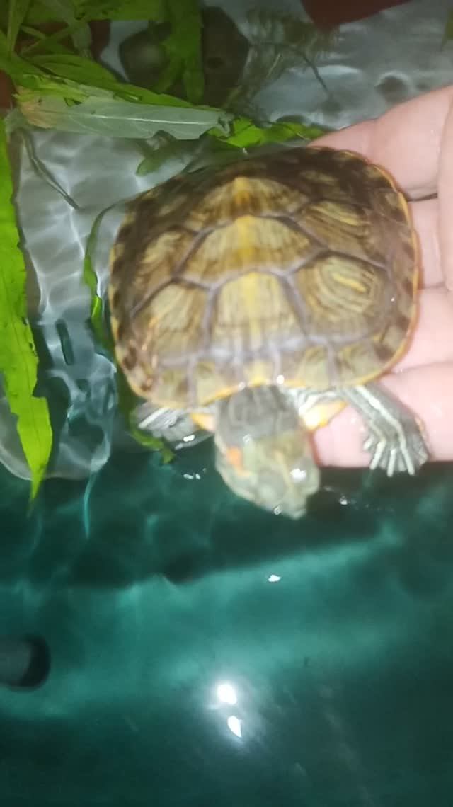 Пластик фантастик.