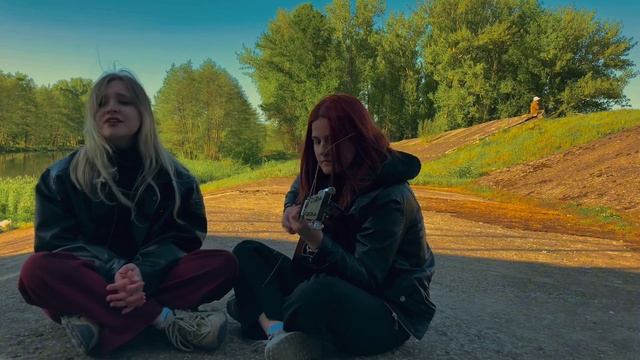 ssshhhiiittt! - домой (ультра кавер с козочками и пастухом на горе)