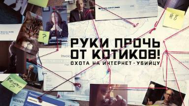 Руки прочь от котиков! Охота на интернет-убийцу — 1 серия