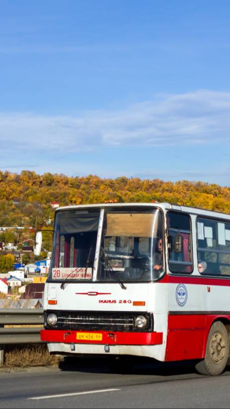 ⚫️Икарусы Саратова в 2024⚫️