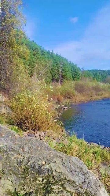 💖Ловите осенью моменты