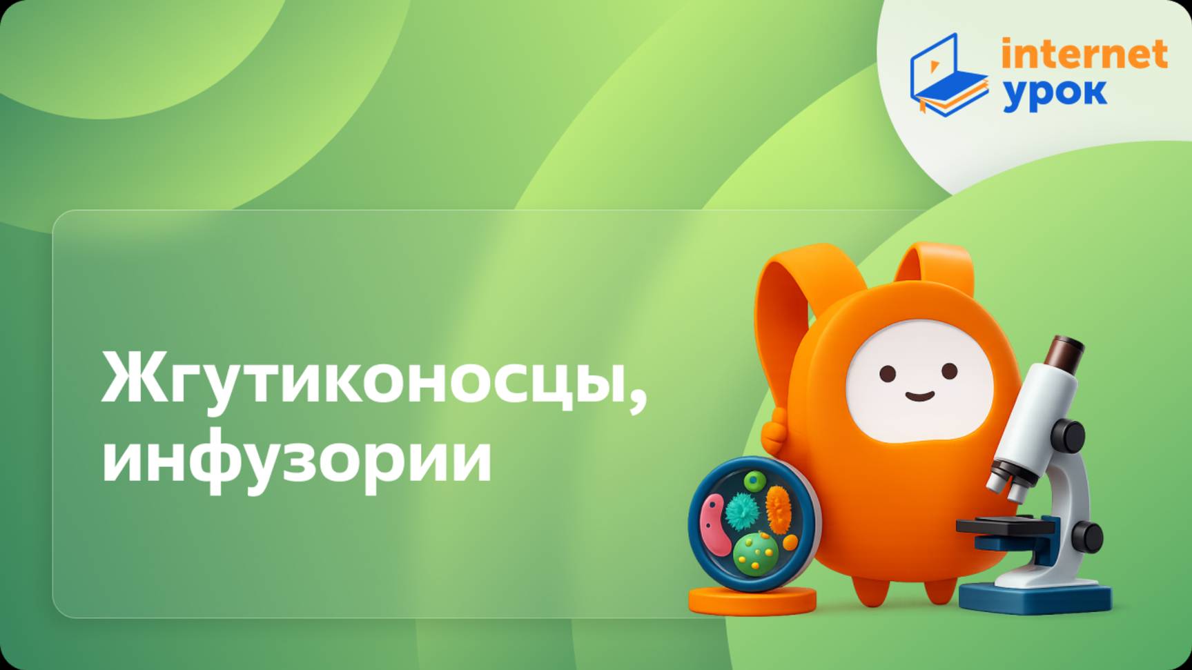 Жгутиконосцы, инфузории. Видеоурок по биологии 7 класс