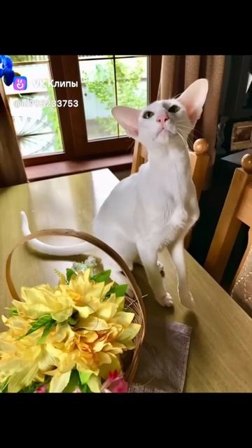 Грише 10 месяцев от роду…