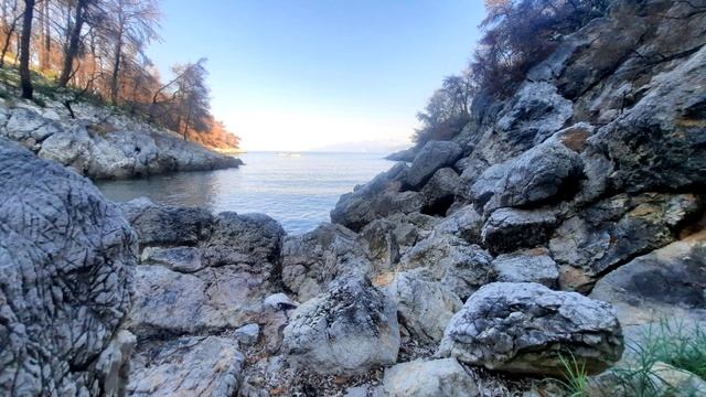 Любовь висела, на волоске!