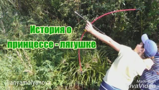 История о принцессе-лягушке