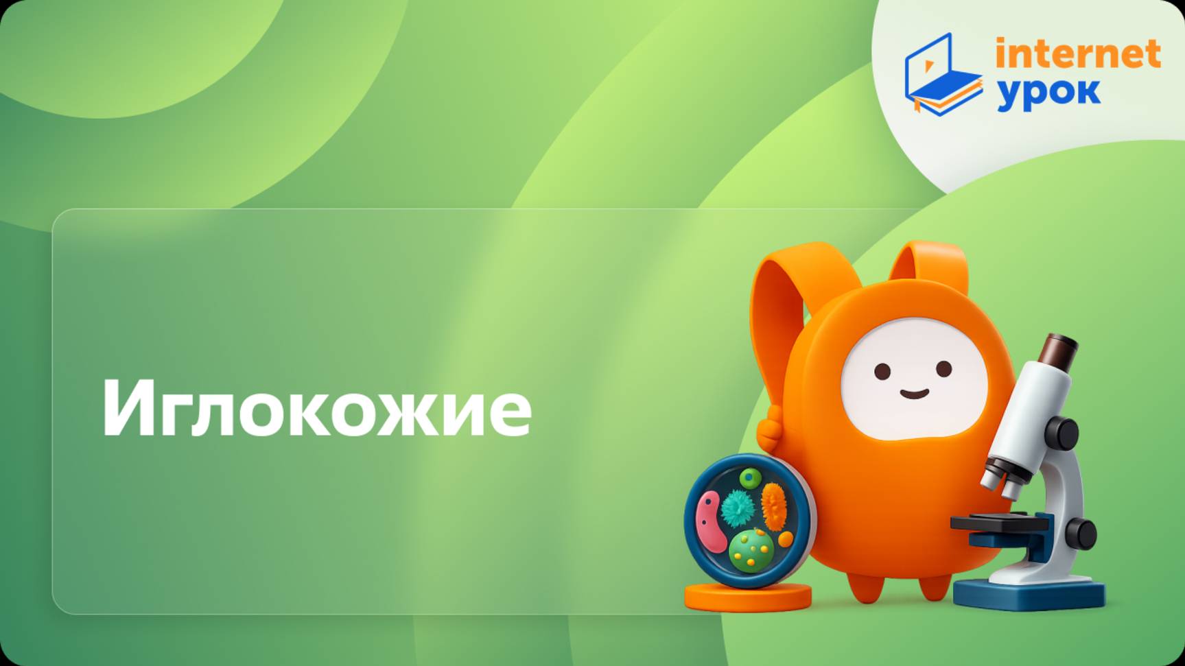 Иглокожие. Видеоурок по биологии 7 класс