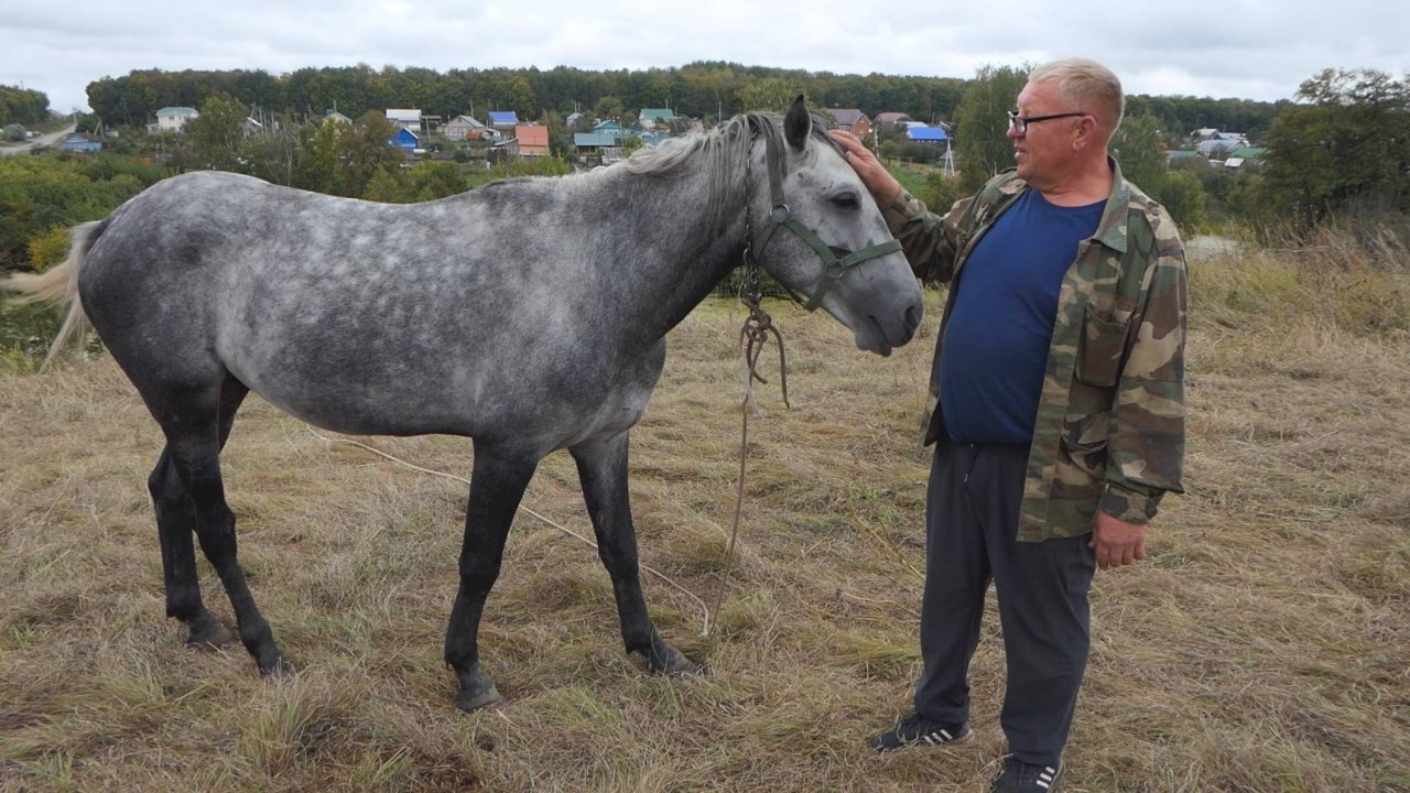 Глава КФХ Алексей Кузнецов из села Алакаевка