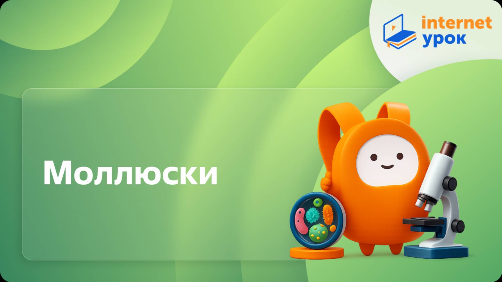 Моллюски. Видеоурок по биологии 7 класс
