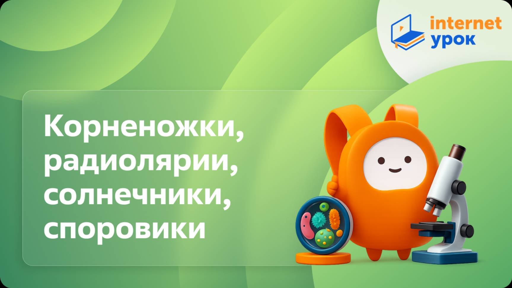 Корненожки, радиолярии, солнечники, споровики. Видеоурок по биологии 7 класс