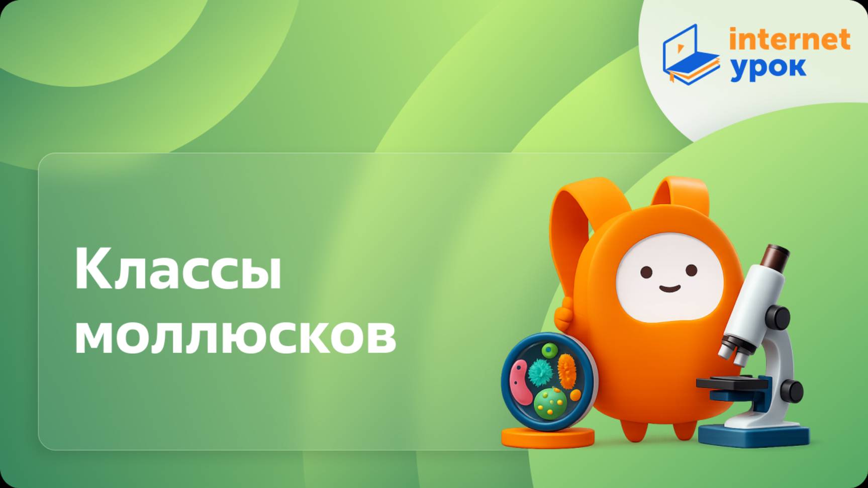 Классы моллюсков. Видеоурок по биологии 7 класс