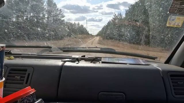 ДИКАЯ ПРИРОДА ДОНСКАЯ САХАРА