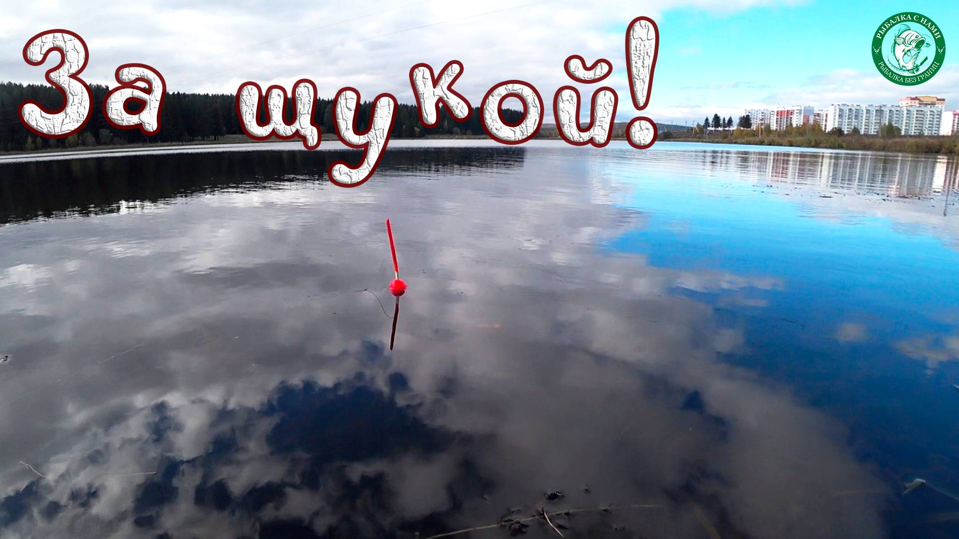 РЫБАЛКА НА ПОПЛАВОК НА ЖИВЦА В ОКТЯБРЕ, ПРУД В ДВУХ ШАГАХ ОТ ДОМА! ПРОХЛАДНОЕ УТРО, ЖДУ ПОКЛЁВКУ!