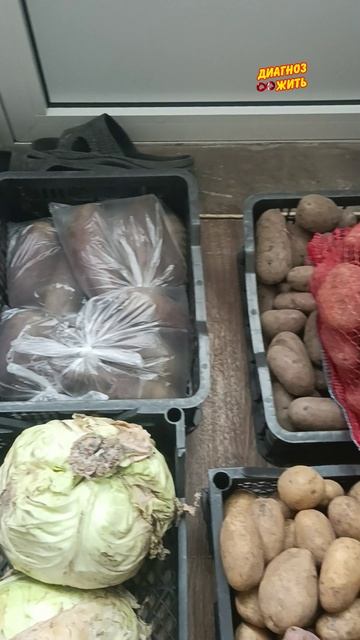 И СНОВА ЗАГОТОВКИ...