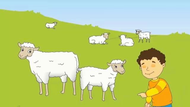 FF 2 | family and friends 2| 14_Look at all the animals