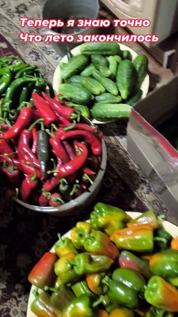 #Shorts Теперь я знаю точно, что лето закончилось#домвдеревне#садиогород
