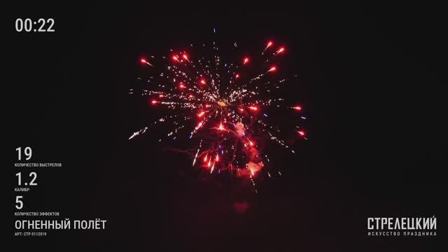 Салют ОГНЕННЫЙ ПОЛЁТ СТР0112019 от ТМ СТРЕЛЕЦКИЙ — Фейерверк на 19 зарядов премиум качества