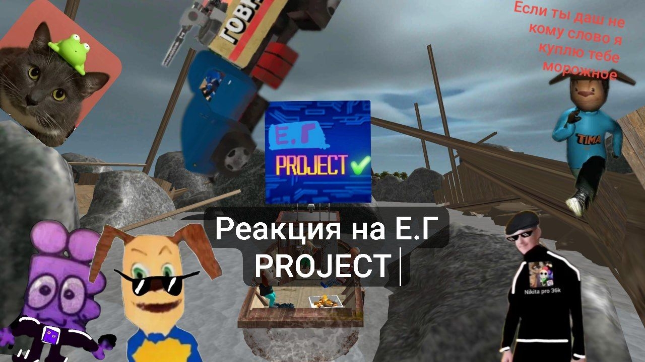 реакция на Е.Г PROJECT