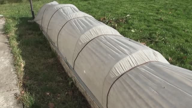 Укрываем розы на зиму! Опыт шести лет!