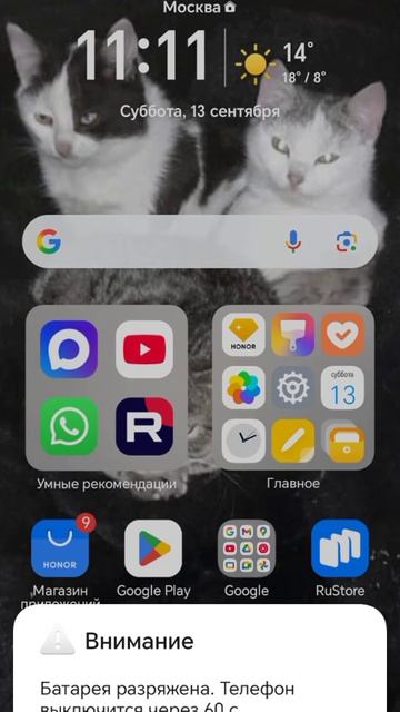 1000013810.mp4 шок и 0%