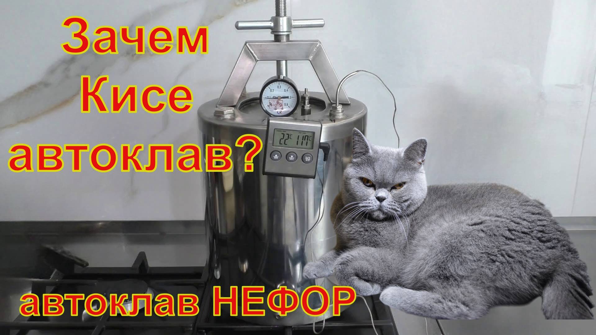 Автоклав  для нашей Кисы. Автоклав НЕФОР.