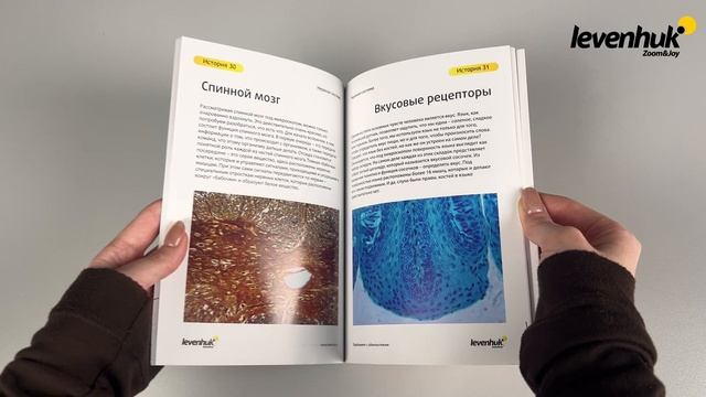 Руководство «Увидеть все! Изучаем окружающий мир» | Четыре глаза – краткий видеообзор