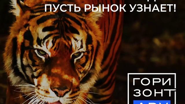 «Концепт имиджевой рекламной кампании для ГоризонтADV: октябрь 2025»