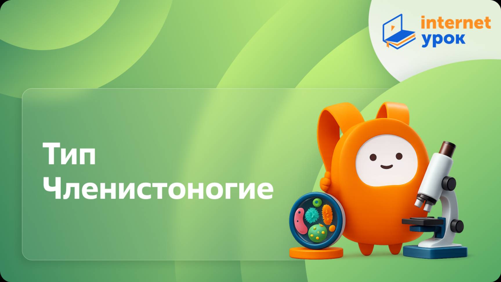 Тип Членистоногие. Видеоурок по биологии 7 класс