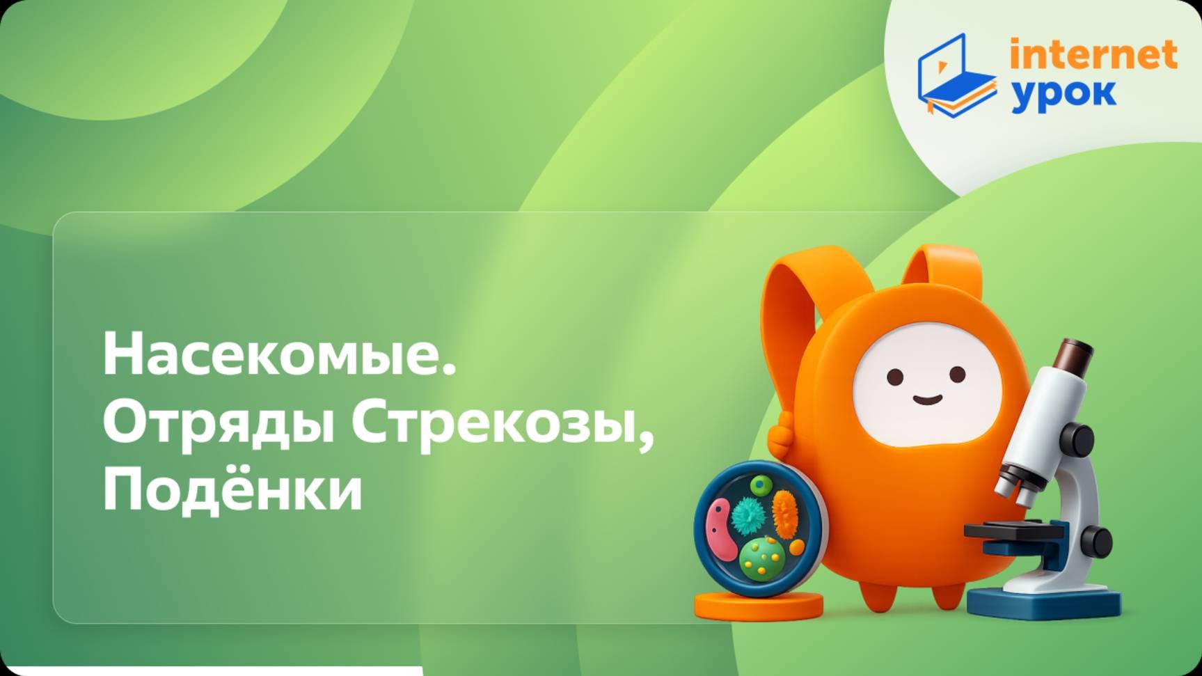 Насекомые. Отряды Стрекозы, Подёнки. Видеоурок по биологии 7 класс