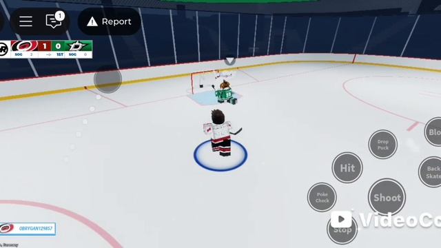 играю в хоккей раз в Roblox