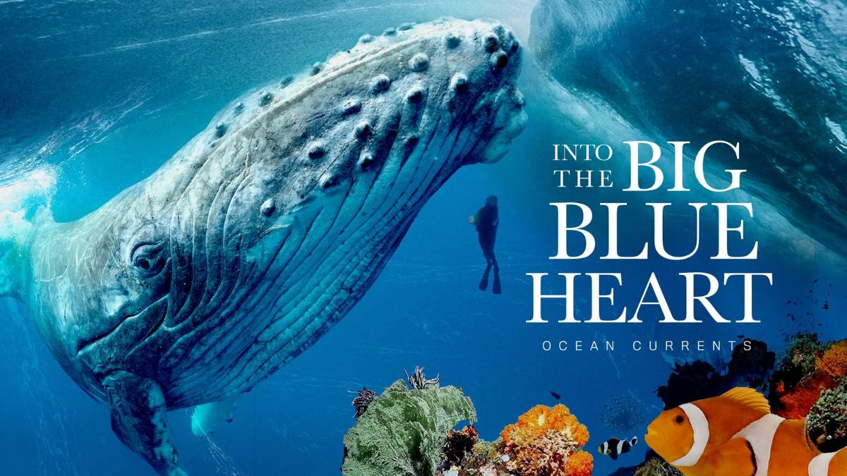 Сериал В голубую бездну — 1 серия / Into the Big Blue Heart: Ocean Currents