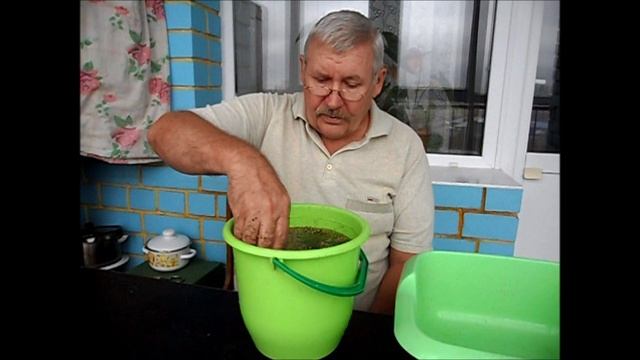 Очистка семян лука чернушки