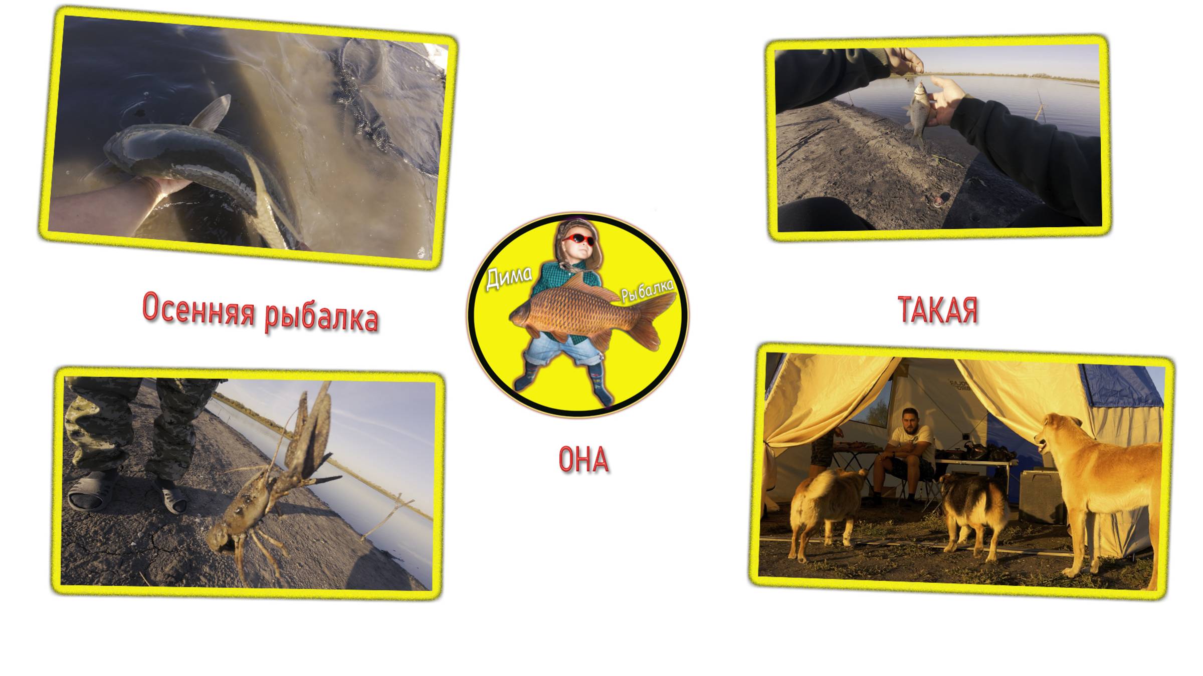 Осенняя  рыбалка не простая