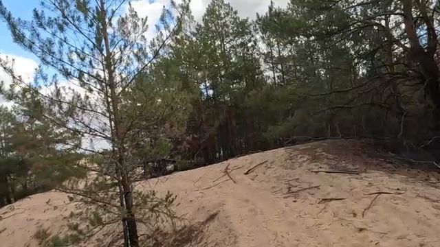 ПЕШКОМ ПО ДОНСКОЙ САХАРЕ