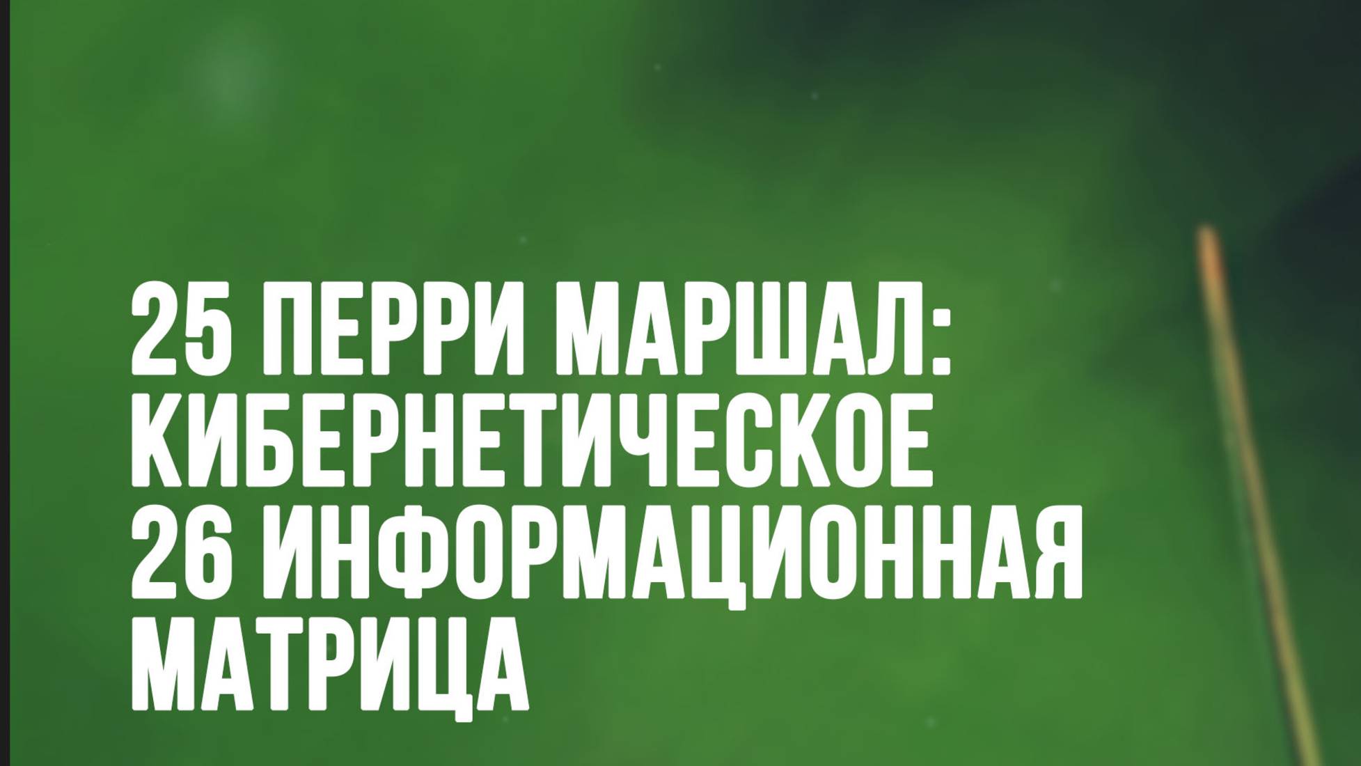 SM015 Rus 13. 25 Перри Маршал_ кибернетическое, 26 Информационная матрица