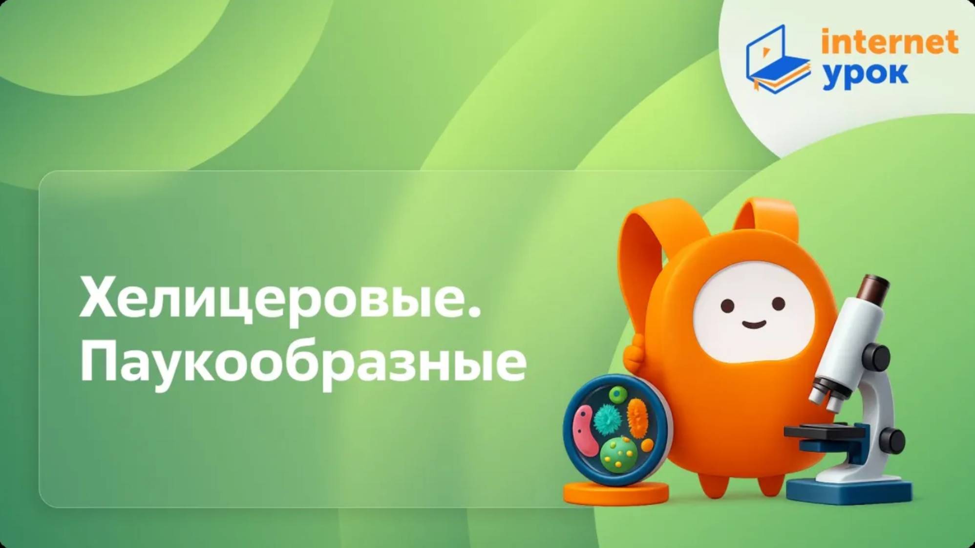 Хелицеровые. Паукообразные. Видеоурок по биологии 7 класс