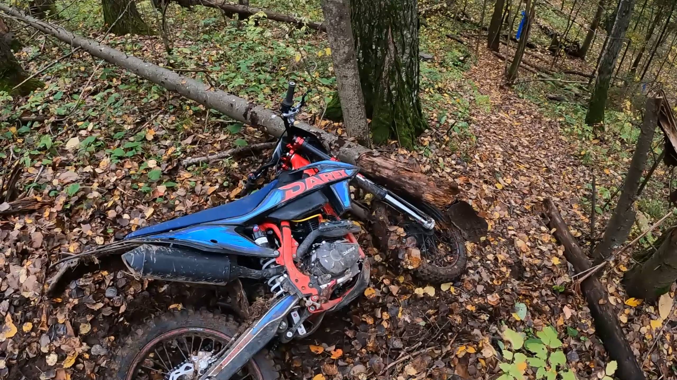 История о том как я размотал новый мотоцикл об дерево!