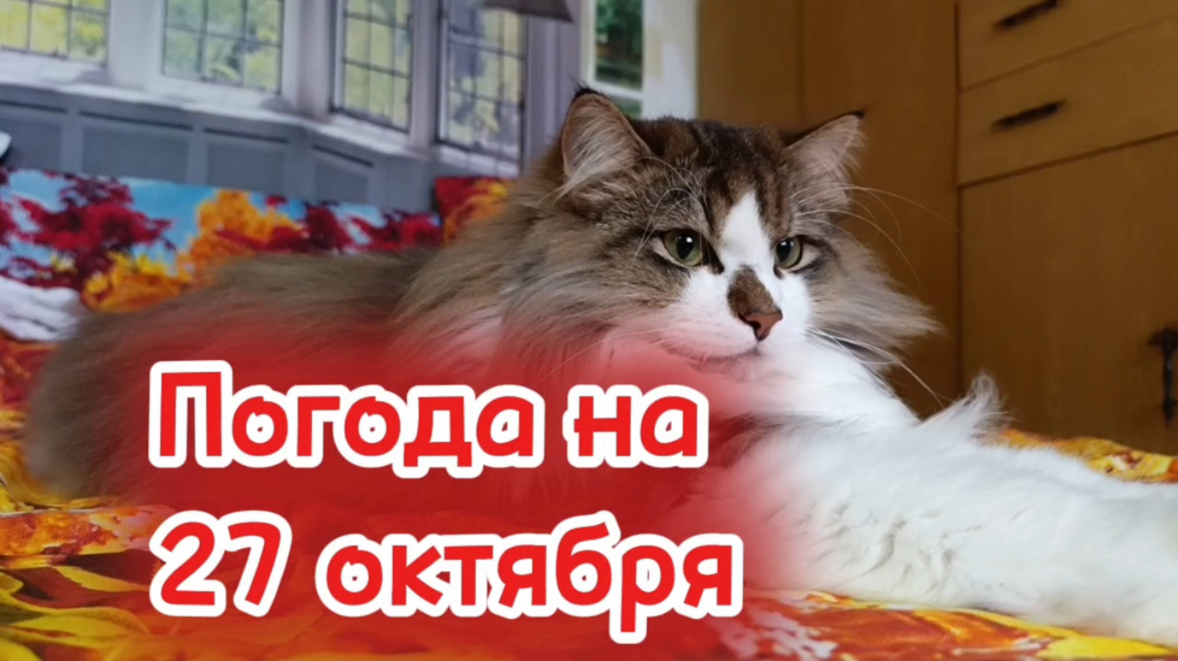 ПРОГНОЗ ПОГОДЫ НА 27 ОКТЯБРЯ