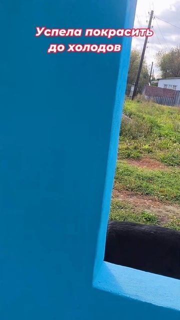 #Shorts Успела покрасить до холодов#домвдеревне#ремонтстарогодома