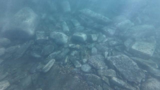 Русский остров, мыс Вятлина, под водой - ДНО, Владивосток, август 2025.