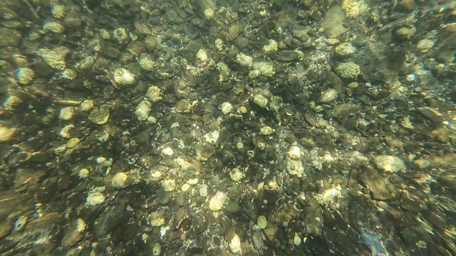 Русский остров, Велопоездка, ракушки бухта парис, Владивосток, август 2025.