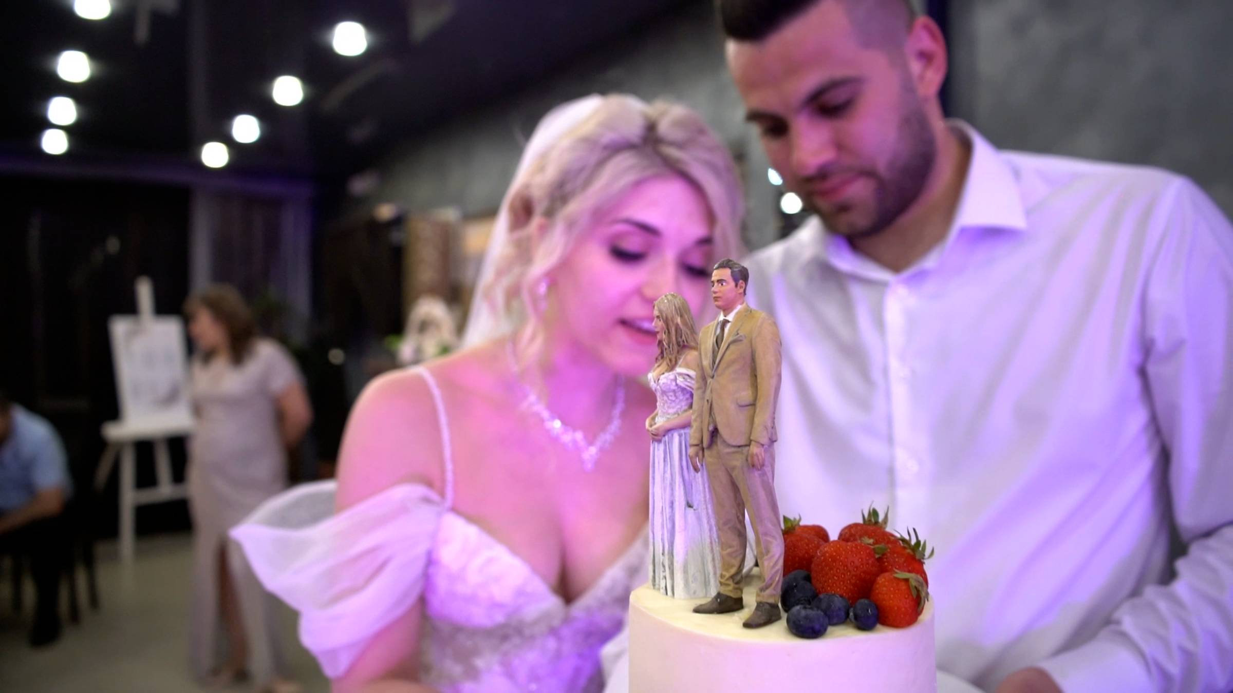 Ролик свадебного вечера Николая и Крестины