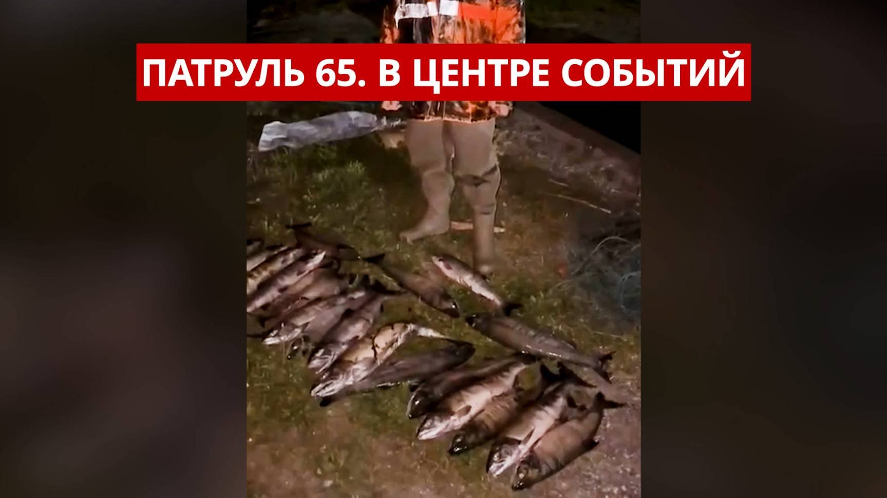 ПАТРУЛЬ 65: Наркотики в машине, жестокое убийство и улов браконьеров. Происшествия Сахалина 02.10.25